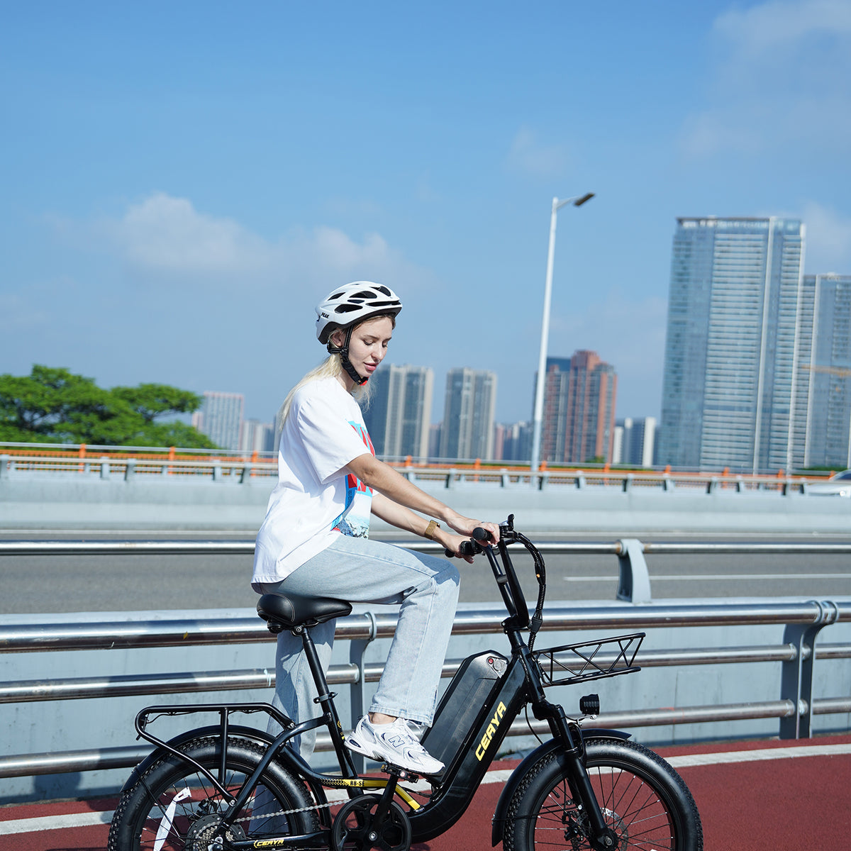 Electric Bike Safety: What You Need to Know Before Riding? – CEAYA ...