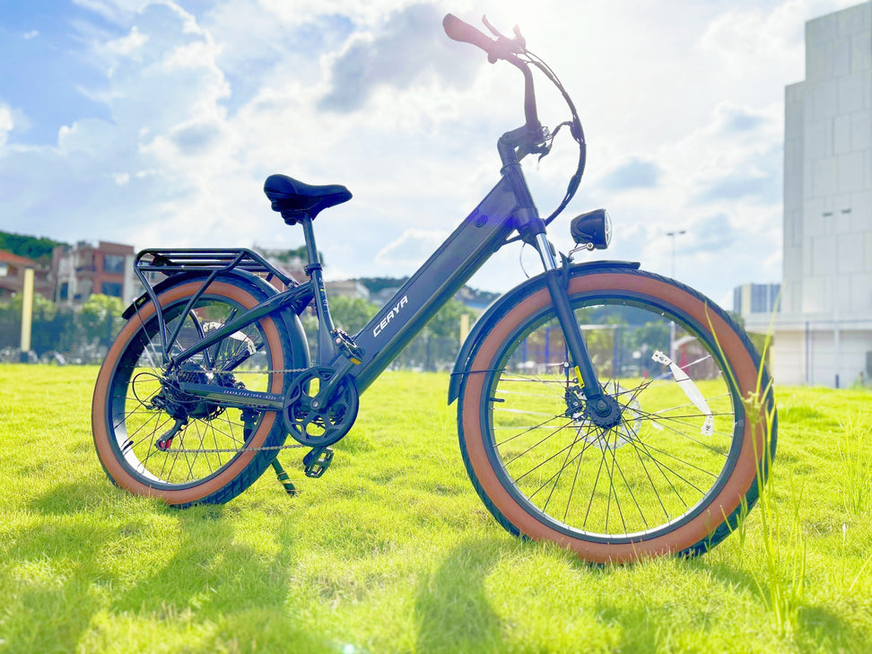 How to Find the Serial Number of Your Ebike? – CEAYA Ebike Store