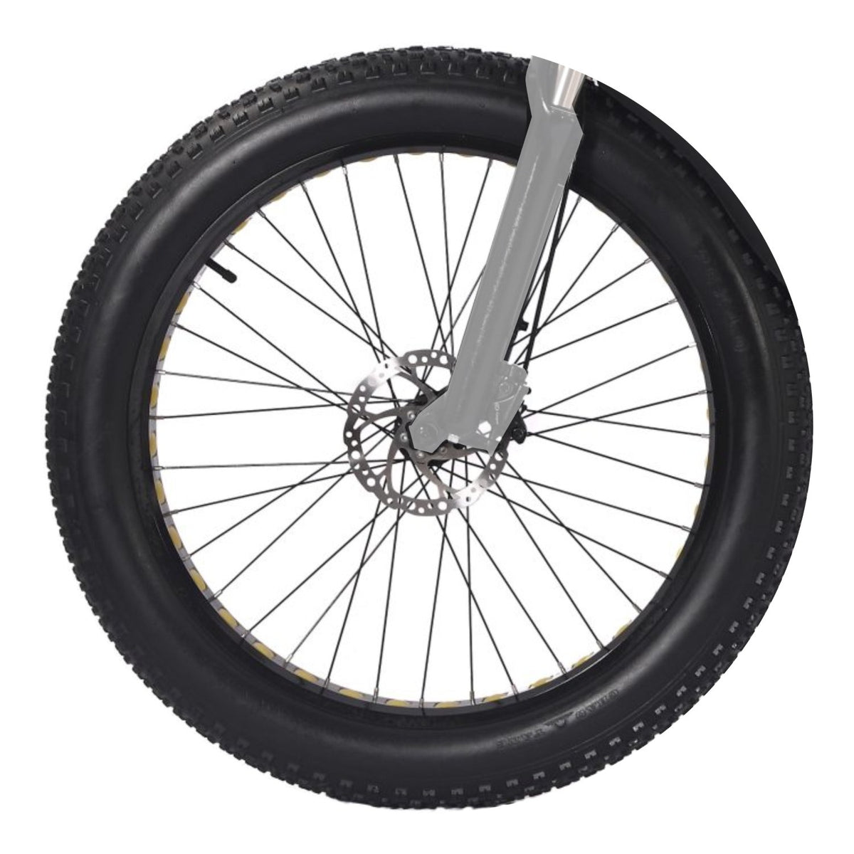 Front wheelset for Ebike WL01 – CEAYA Ebike Store